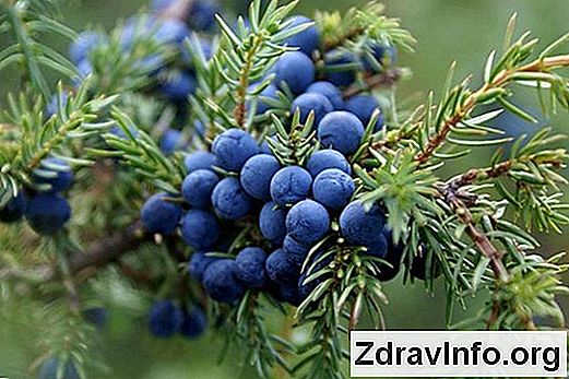 Léčba ledvinové cysty lidových prostředků 👃 Portál Sinus A Další. - 2025