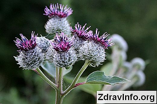 Léčba ledvinové cysty lidových prostředků 👃 Portál Sinus A Další. - 2025